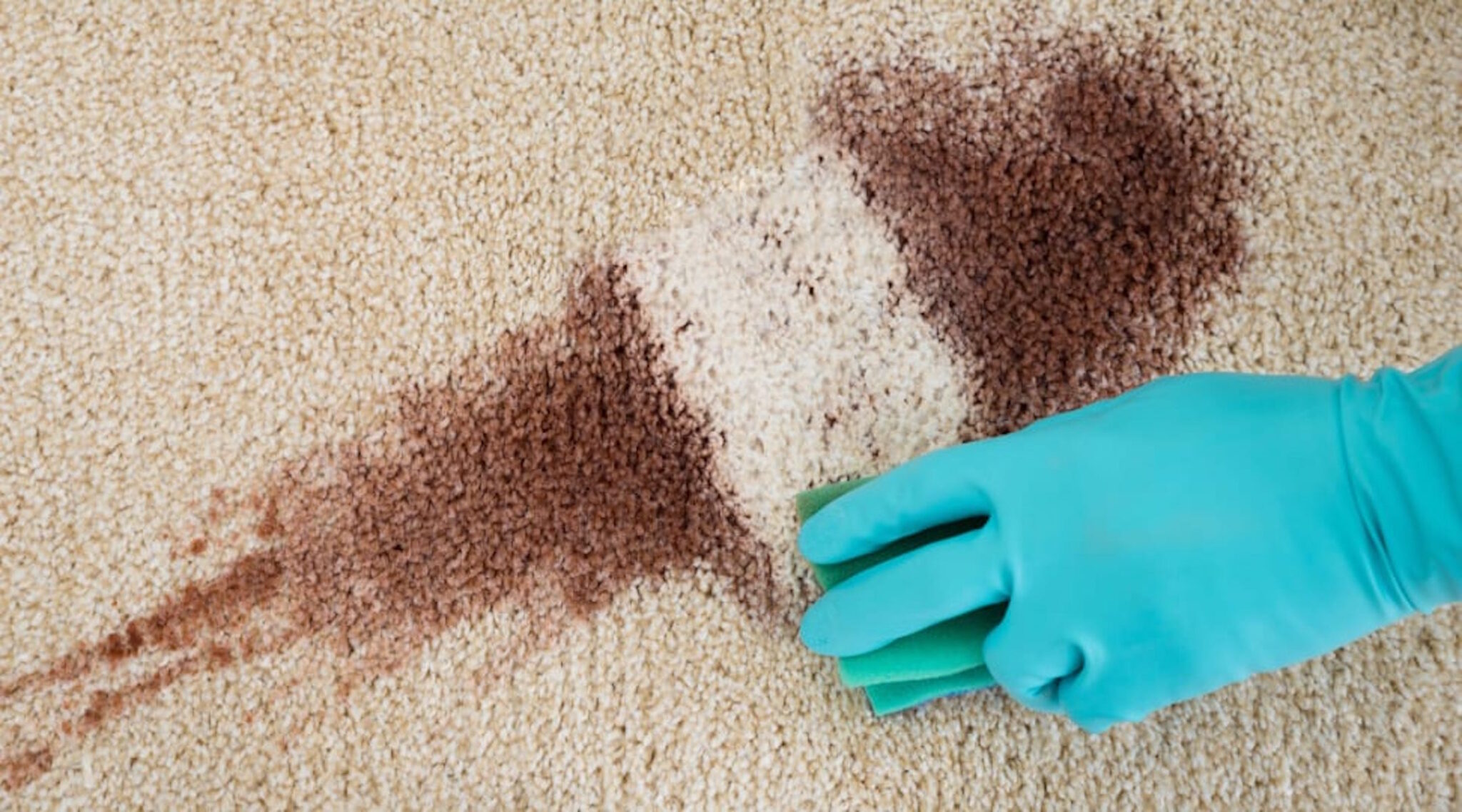 Understanding Stains: A Guide to Common Stains and How to Treat Them ...